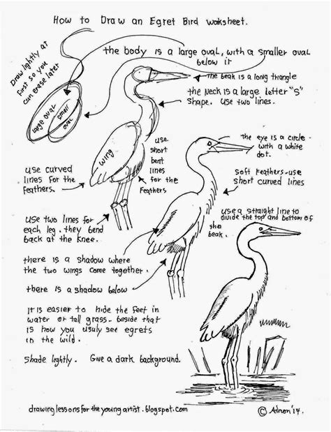 How To Draw An Egret Bird Free Worksheet