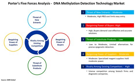 Dna Methylation Detection Technology Market 2025 Size Growth Analysis Report Forecast To 2035