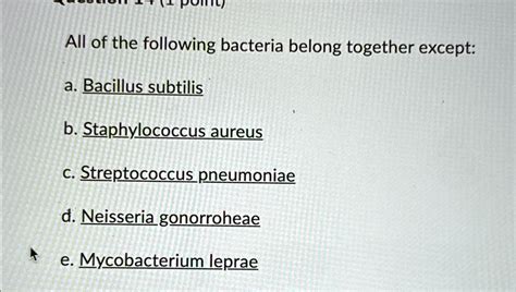 All Of The Following Bacteria Belong Together Except A Bacillus Subtilis B Staphylococcus Aureus