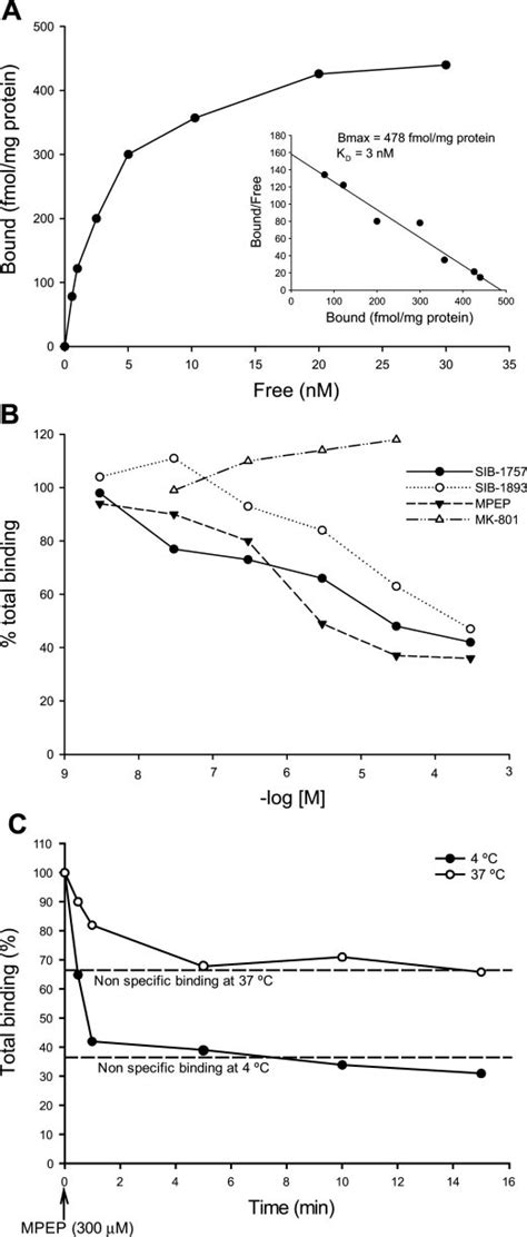 3 H Mpep Binding In Intact Tc 6 Cells The Saturation Isotherm At 4°c Download Scientific