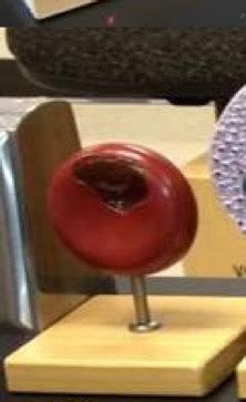 Lab Exam Flashcards Quizlet Lab Exam Flashcards Quizlet