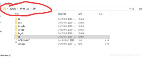 java se jdk11 0 6 环境配置（附资源） csdn博客