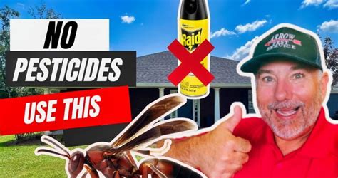 Easy Diy Lawn Care For Beginners