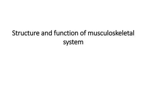 1 Structure And Function Of Mss Lecture 1 Ppt