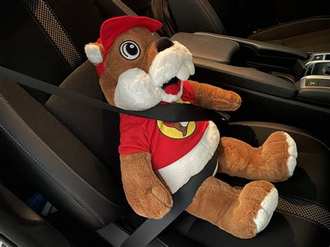 Dario 🔜 Midwest Mouse Fest On Twitter I Have No Willpower Just Couldnt Resist I Needed A