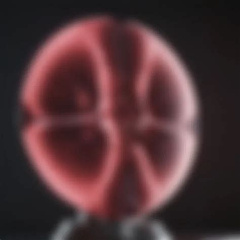 Understanding Breast Calcification An In Depth Guide