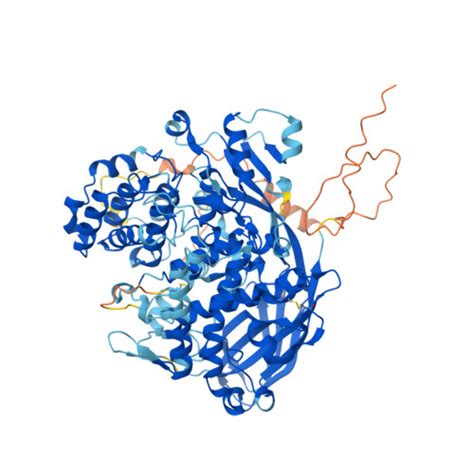 Rcsb Pdb Afafp09179f1 Computed Structure Model Of Sex Specific