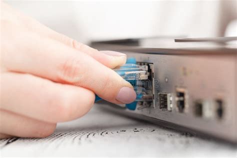 Insert Network Cable Connection To Switch Stock Photo Image Of Connection Exclusivity