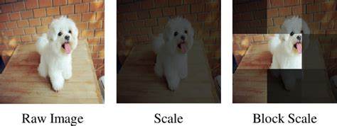 Structure Invariant Transformation For Better Adversarial Transferability