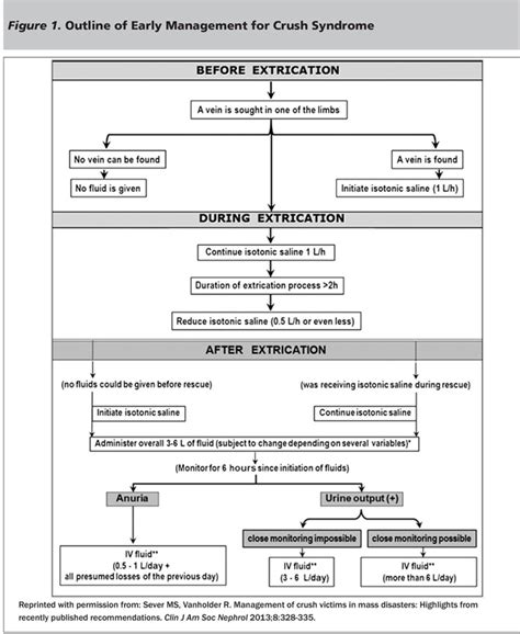 Crush Injury Guidelines At James Wong Blog