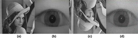 Result Of Spiht Compression Attack A Original Cover Image B Gray Download Scientific