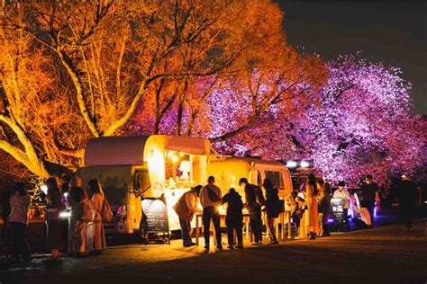 トヨタの給電車が新宿御苑の夜桜を彩るイベントに協力桜動く電源でお花見体験をアップデートトヨタPR事務局のプレスリリース
