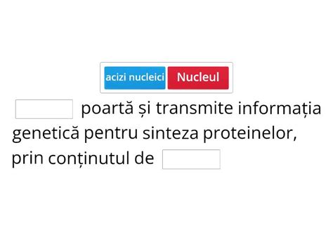 Nucleul Missing Word