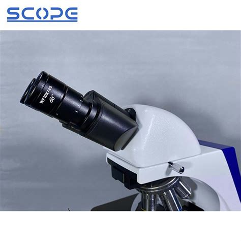 China Binocular Phase Contrast Microscope 40x 1000x For Biology Reserach Factory Manufacturers