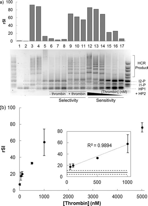 Figure 5 From Engineering Self Contained Dna Circuit For Proximity Recognition And Localized