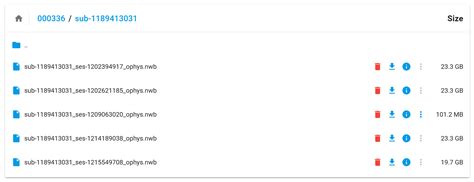 nwb rename code only triggers for one experiment per session · issue