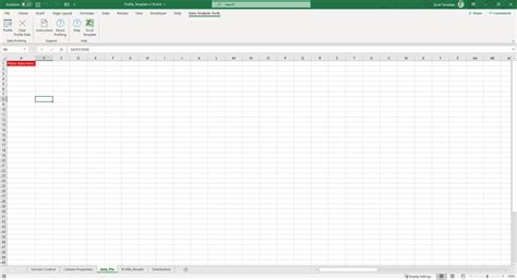 Simple Data Profiling Spreadsheet Analysis Data Quality Stats