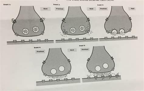solved most neuron communicate to one another across a