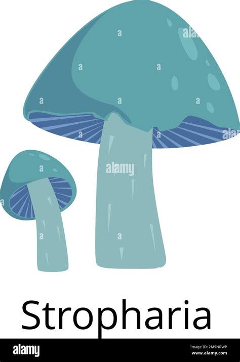 Stropharia Icon Forest Mushroom Natural Organic Fungus Stock Vector
