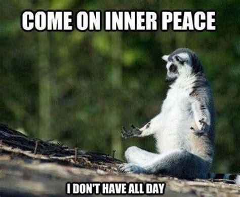 Inner Peace Funny Pictures Humor Funny Memes