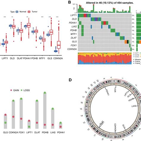 Genetic And Transcriptional Alterations Of Rna Modification Regulators Download Scientific