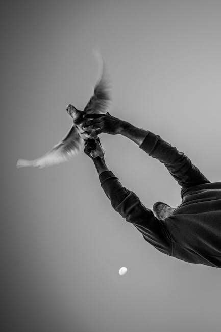 Unlock Your Emotional Freedom Release Repressed Emotions