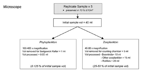 Diagram Of Microscopic Evaluation [5] Download Scientific Diagram