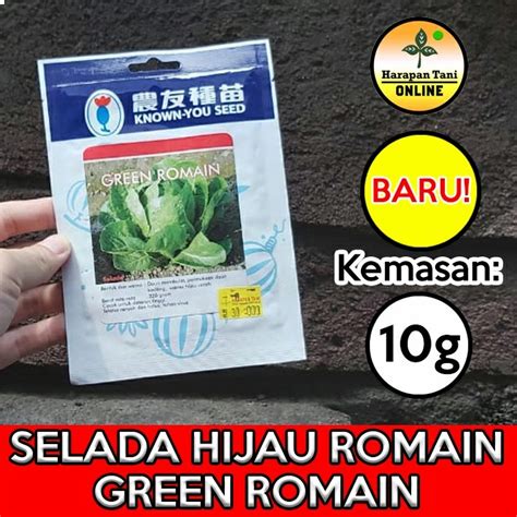 Jual Green Romain 10g Selada Romain Hijau Known You Seed Shopee