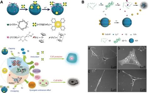 Cerium Oxide Ceo₂ For Research A Comprehensive Overview Physics Girl