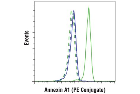 Annexin A1 D5V2T XP Rabbit MAb PE Conjugate Cell Signaling Technology