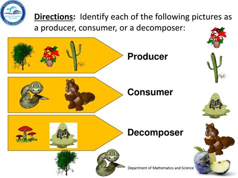Ppt Interdependence Flow Of Energy Powerpoint Presentation Free Download Id 1562624