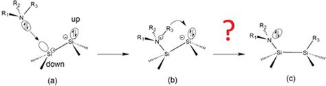 A A Tertiary Amine Directs Its Lone Pair To The Positively Charged