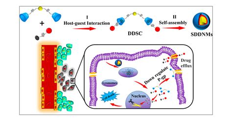 Supramolecular Dual Drug Nanomicelles For Circumventing Multidrug
