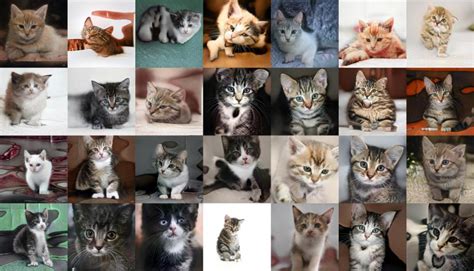 LoveYouTenderly GitHub