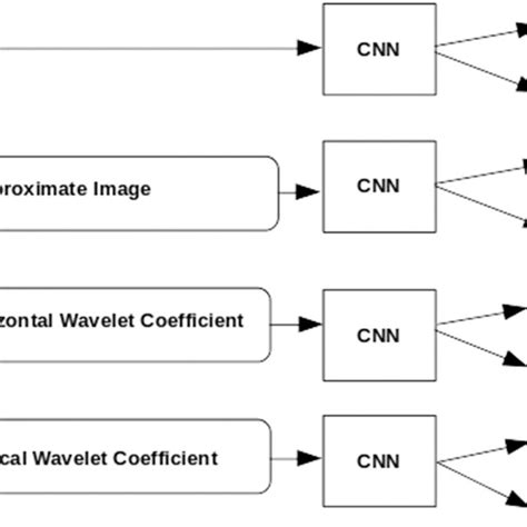 Skin Lesion Prediction Using The Proposed Wavelet‐based Method Download Scientific Diagram