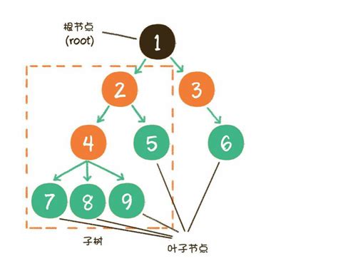 数据结构 算法 树 二叉树 parent树 CSDN博客