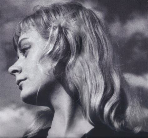 Hollywood To Kentish Town By Patrice Chaplin Bookchatter Cookiebiscuit