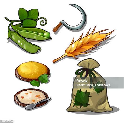 흰색 배경에 고립 된 곡물에서 만든 죽입니다 수확 벡터 만화일러스트 레이 션 노랑에 대한 스톡 벡터 아트 및 기타 이미지 노랑 0명 가득 찬 Istock