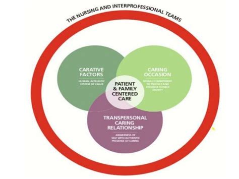 The Jean Watson Theory