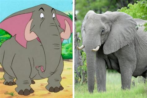 20 Animals In Lion King Movie You Should Know In Real Life