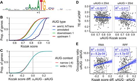 An Aug Sequence Context Is Associated With Translation In C Download Scientific Diagram