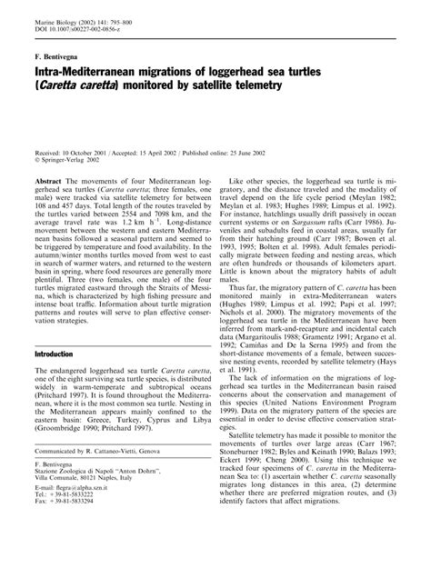 Pdf Intra Mediterranean Migrations Of Loggerhead Sea Turtles Caretta Caretta Monitored By