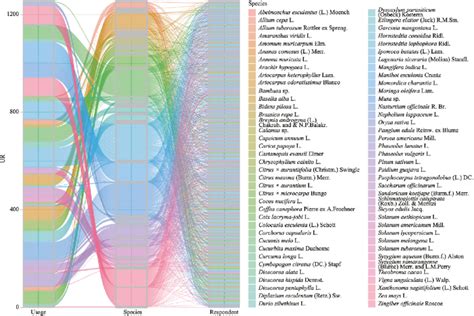 Alluvial Diagram Showing The Frequency Distribution Of The 76 Edible