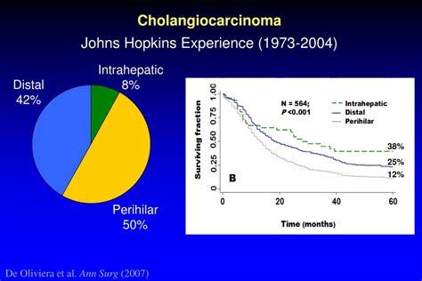 Ppt Surgical Management Of Cholangiocarcinoma Powerpoint Presentation Id 179314