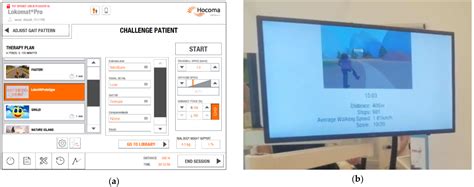 Clinical Feasibility Of Applying Immersive Virtual Reality During Robot Assisted Gait Training