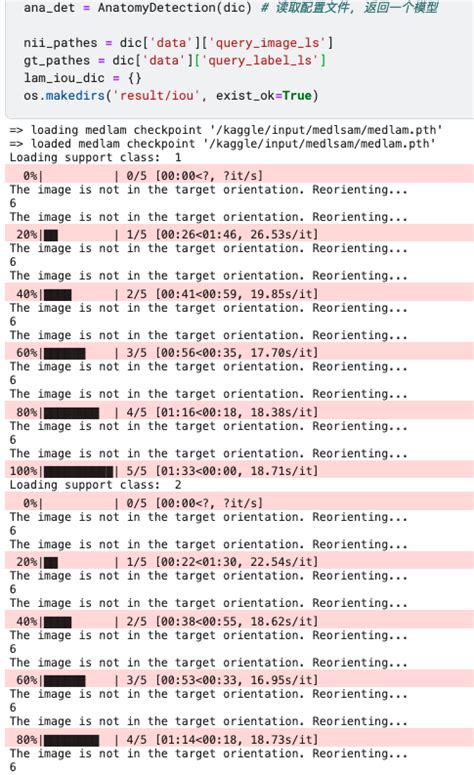 Based On MedLAM S Test Config Running Inference It Takes More Than Minutes To Run On Kaggle