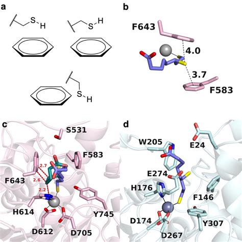 S π Interactions A Three Possible Orientations For S H π