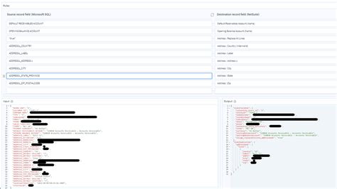 Customer Netsuite Import Error Celigo Connective