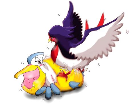 Rule 34 Pelipper Pokemon Swellow Tagme 981533