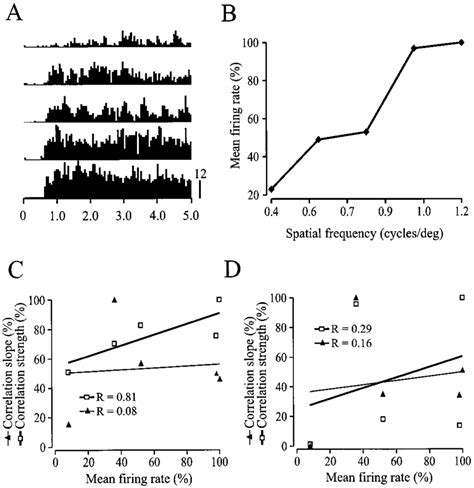 The Correlation Between Spontaneous And Evoked Activity Is Dependent On